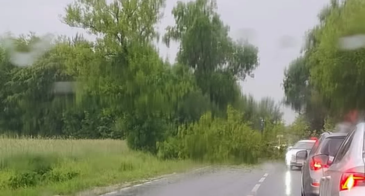 3 zerwane dachy, powalone na drogach drzewa. Ciężki poranek dla strażaków w Płocku i powiecie ...